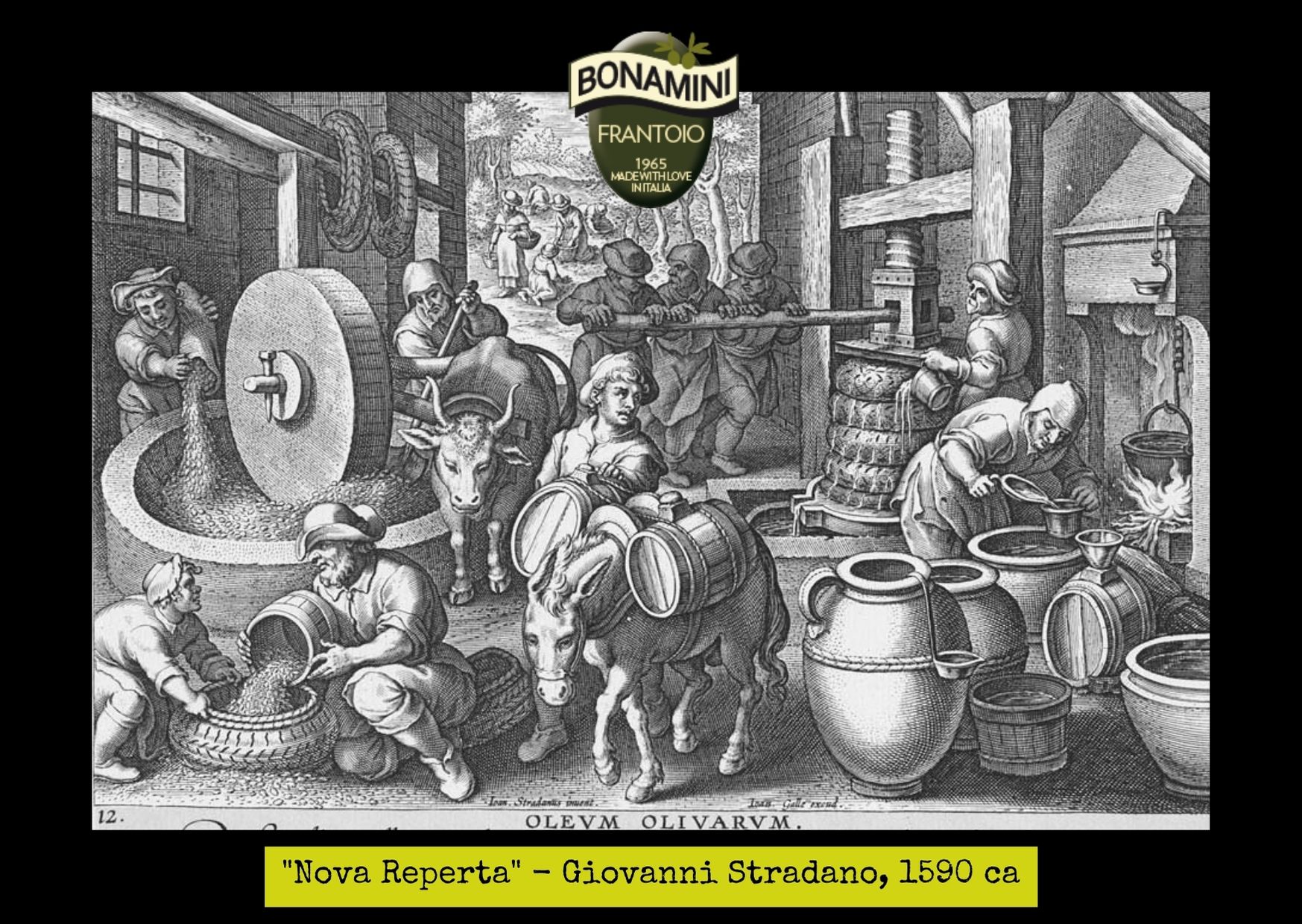 Tradition Postcard - Olio Bonamini SHOP